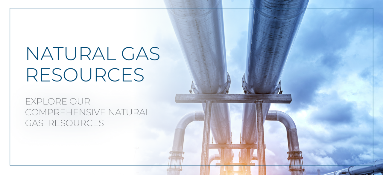 Natural Gas Resources - Blue Flame Alliance